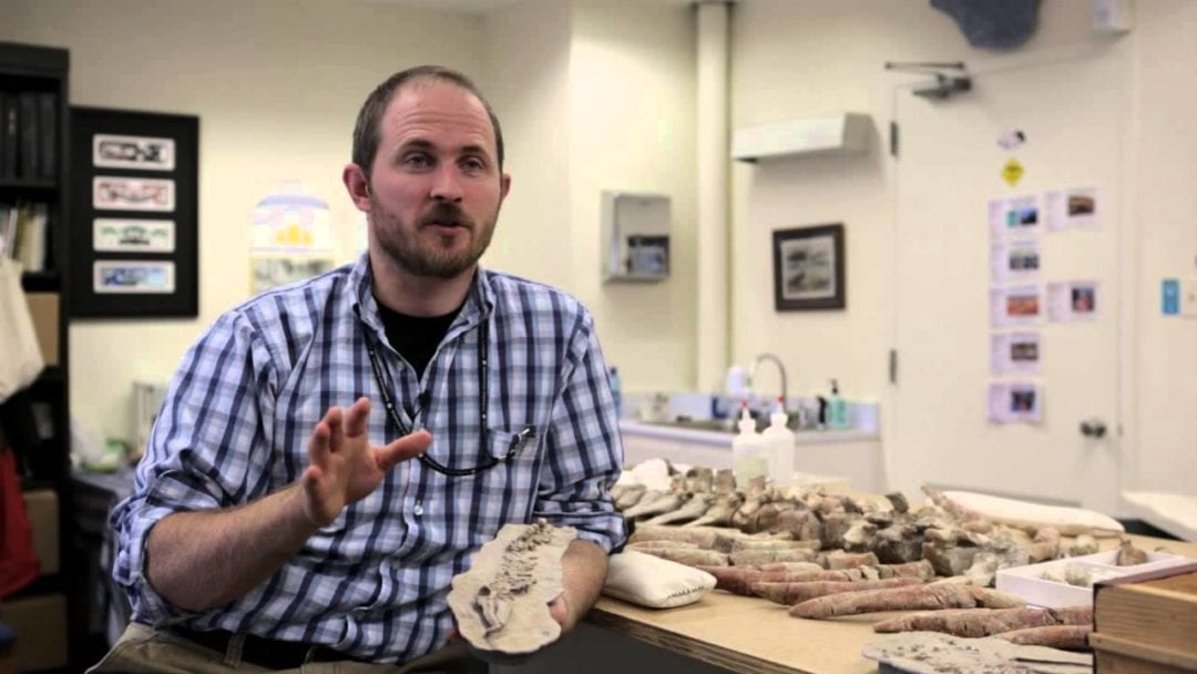 Paleontologist looks to past for future of marine life - KCAW