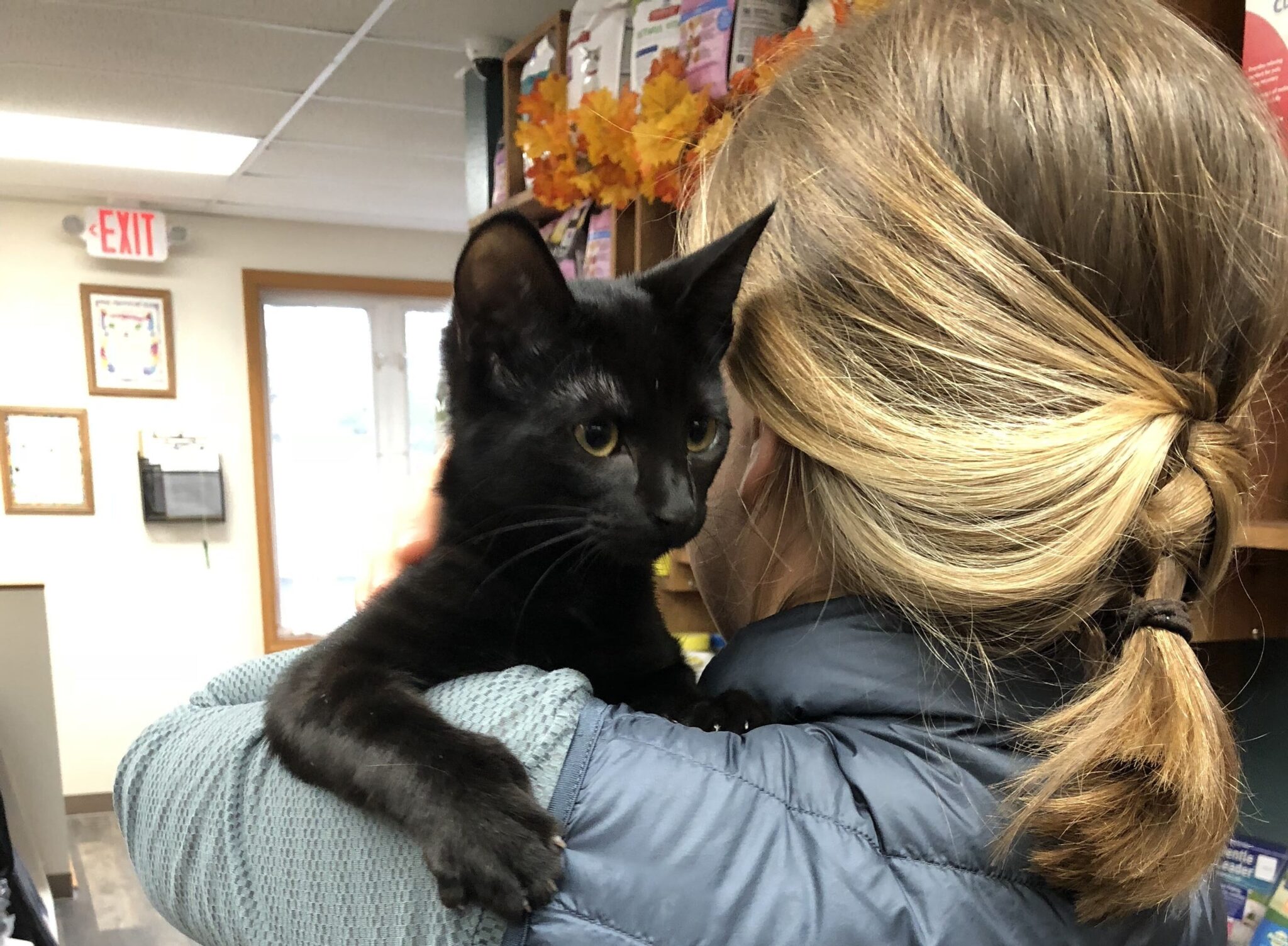 20250228_CATADOPT - KCAW